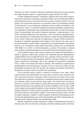 Mitochondria And Anaerobic Energy Metabolism In Eukaryotes Biochemistry ...