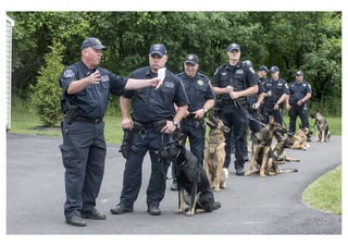 The Inspiring Journey of Brandon Michael Davis Austin: Leadership ...