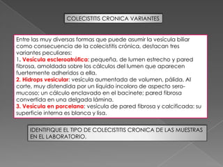 necrosis imagenes | PPT