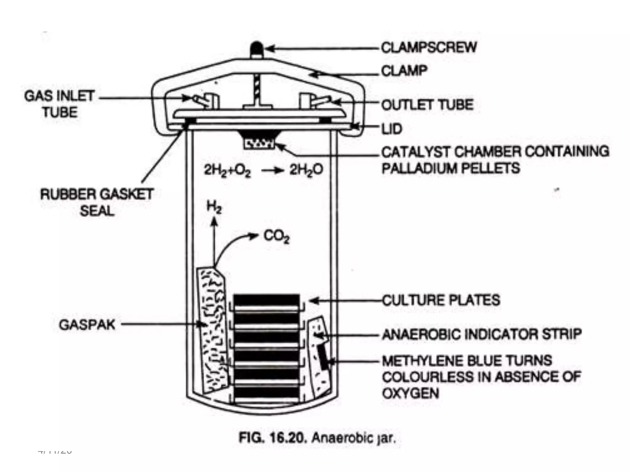 Cultivation of anaerobic bacteria. | PPT