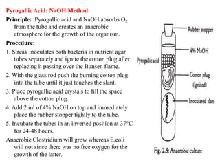 Cultivation of anaerobic bacteria. | PPT
