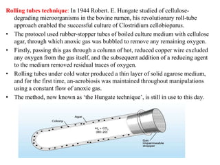 Cultivation of anaerobic bacteria. | PPT