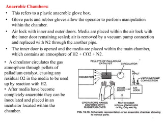 Cultivation of anaerobic bacteria. | PPT