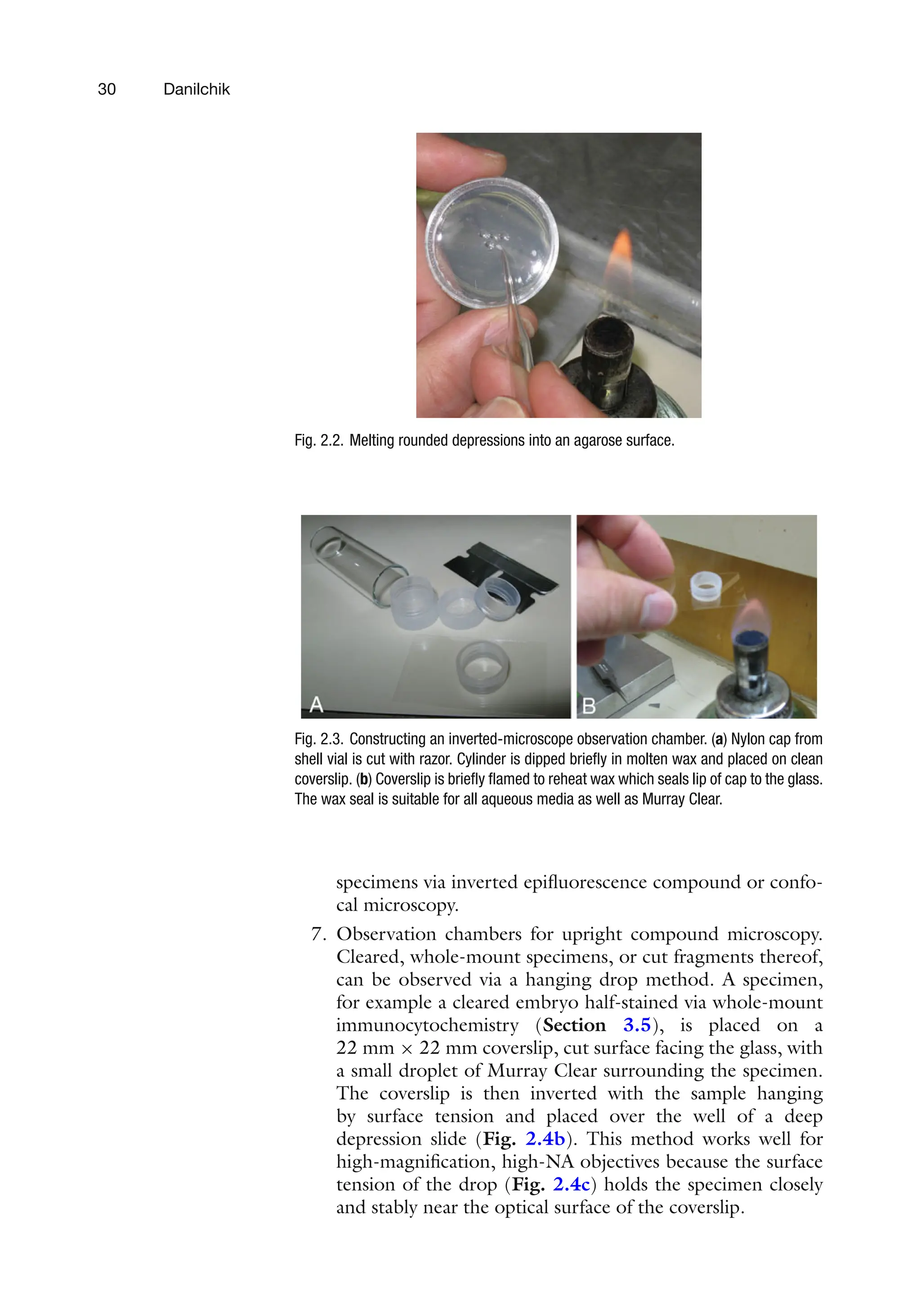 Vertebrate Embryogenesis Embryological Cellular And Genetic Methods ...