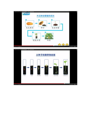 275177722 ithink-dst-map | DOC