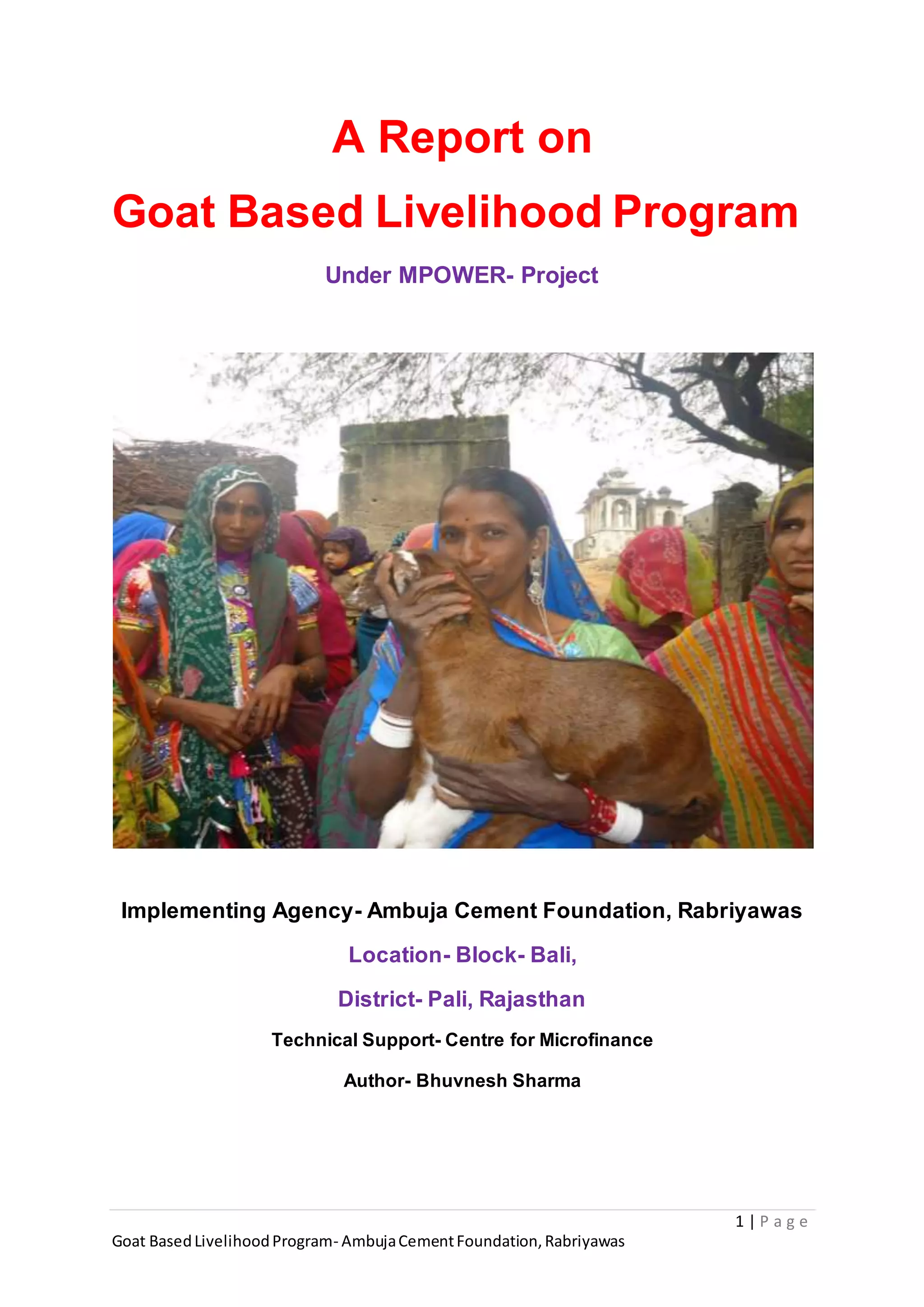 A Report on goat program | PDF