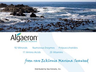 Algaeron Ecklon Slideshow | PDF