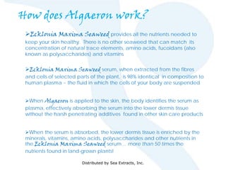 Algaeron Ecklon Slideshow | PDF