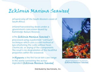 Algaeron Ecklon Slideshow | PDF