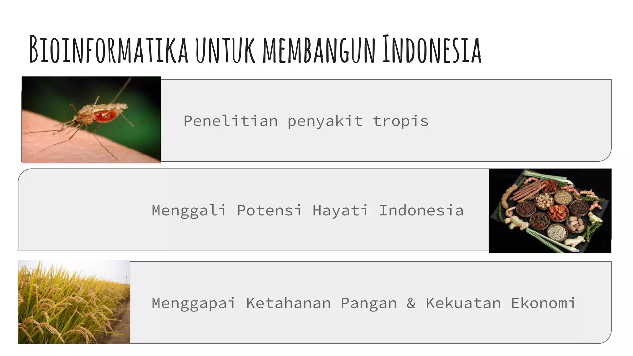 Peran Bioinformatika Menuju Visi Unila 2025 | PDF