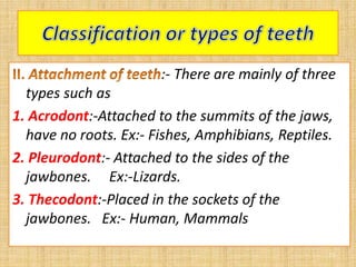 2766DENTATION IN MAMMALS_zoologyPB (2).ppt