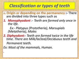 2766DENTATION IN MAMMALS_zoologyPB (2).ppt