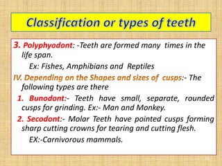 2766DENTATION IN MAMMALS_zoologyPB (2).ppt