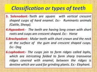 2766DENTATION IN MAMMALS_zoologyPB (2).ppt