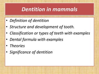 2766DENTATION IN MAMMALS_zoologyPB (2).ppt