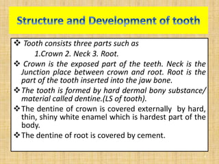 2766DENTATION IN MAMMALS_zoologyPB (2).ppt