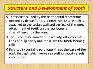 2766DENTATION IN MAMMALS_zoologyPB (2).ppt