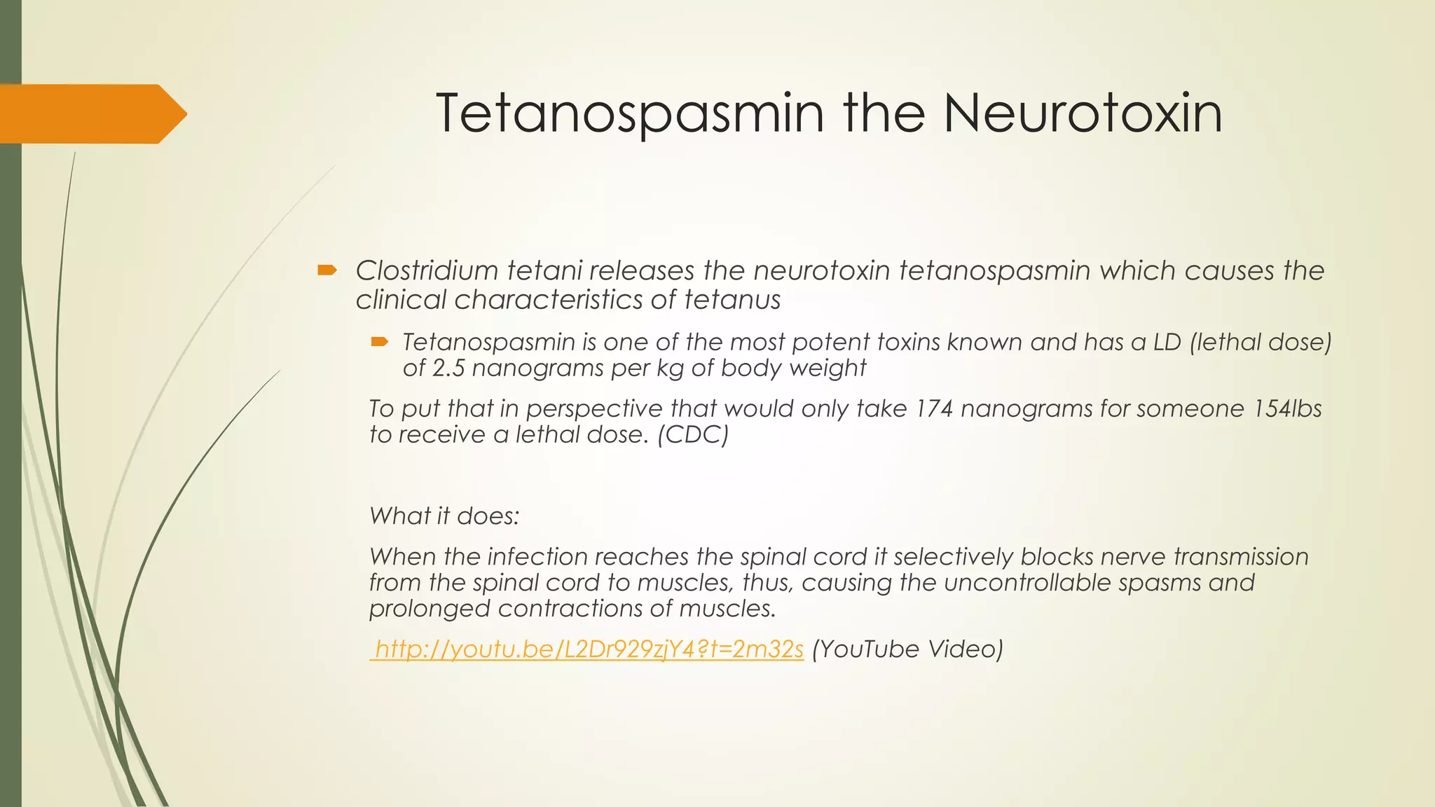 Tetanus Clostridium tetani | PPTX