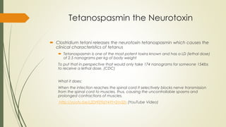Tetanus Clostridium tetani | PPTX