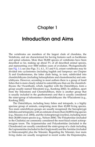 Muscles Of Vertebrates Comparative Anatomy Evolution Homologies And ...