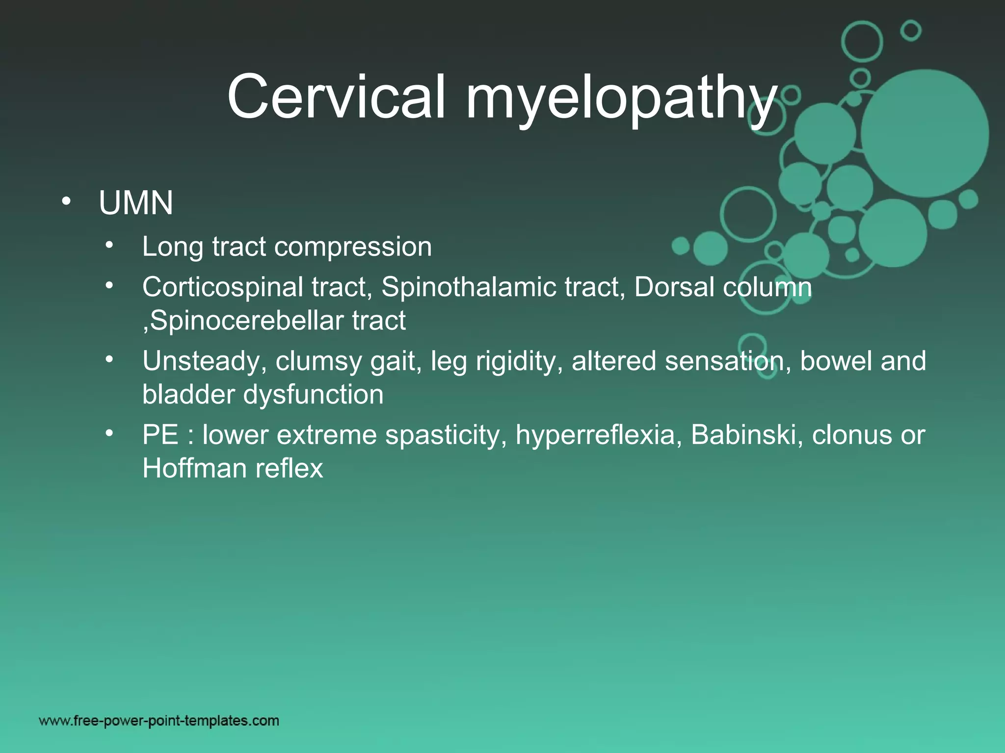 278 Treatment of disk and ligamentous diseases of the cervical spine | PPT