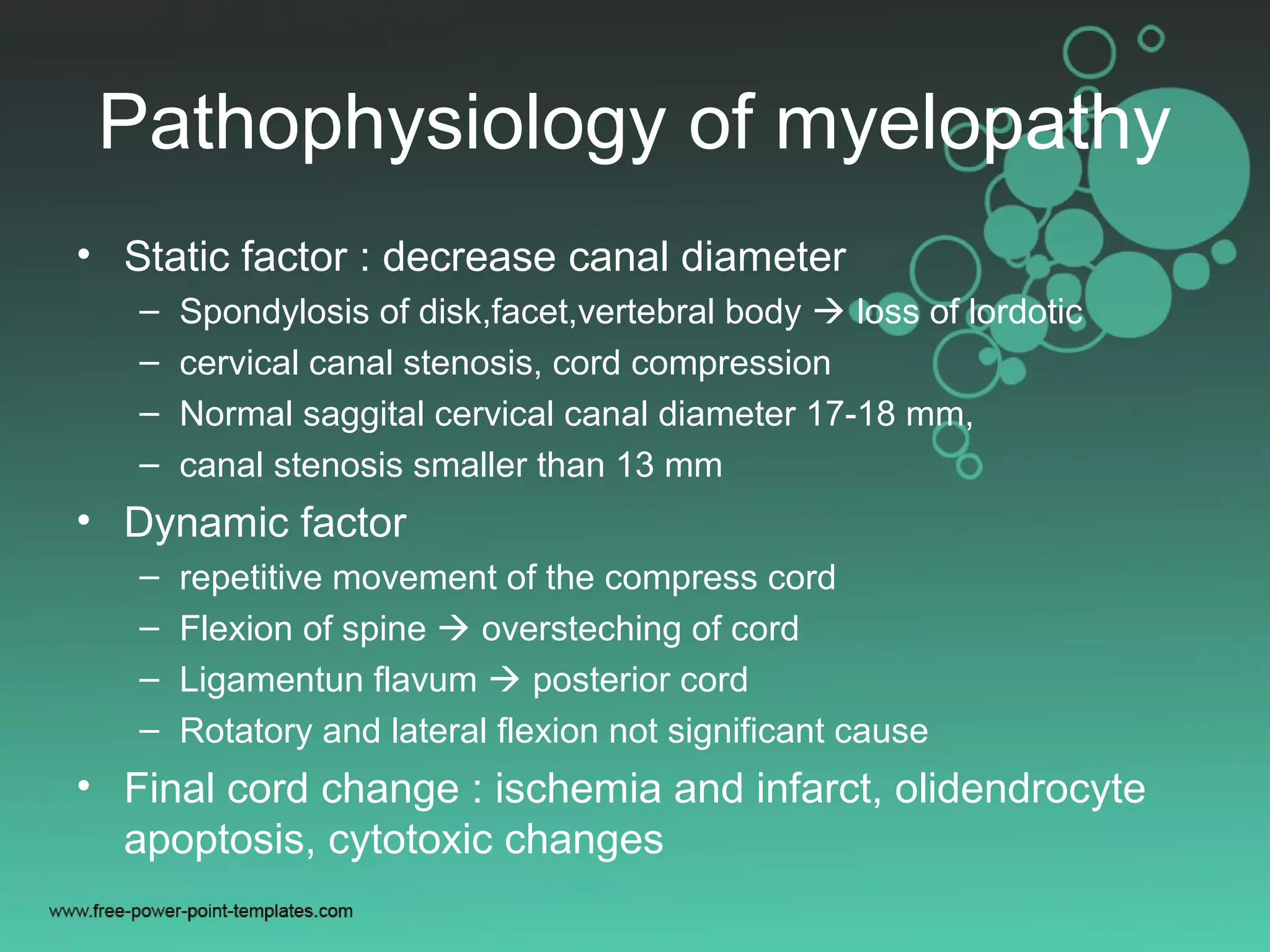 278 Treatment of disk and ligamentous diseases of the cervical spine | PPT