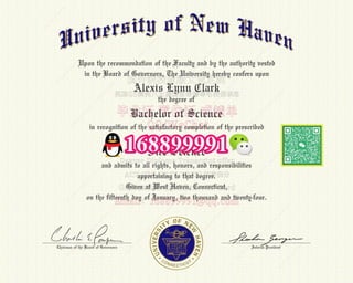 University of New Haven degree offer diploma Transcript | PDF