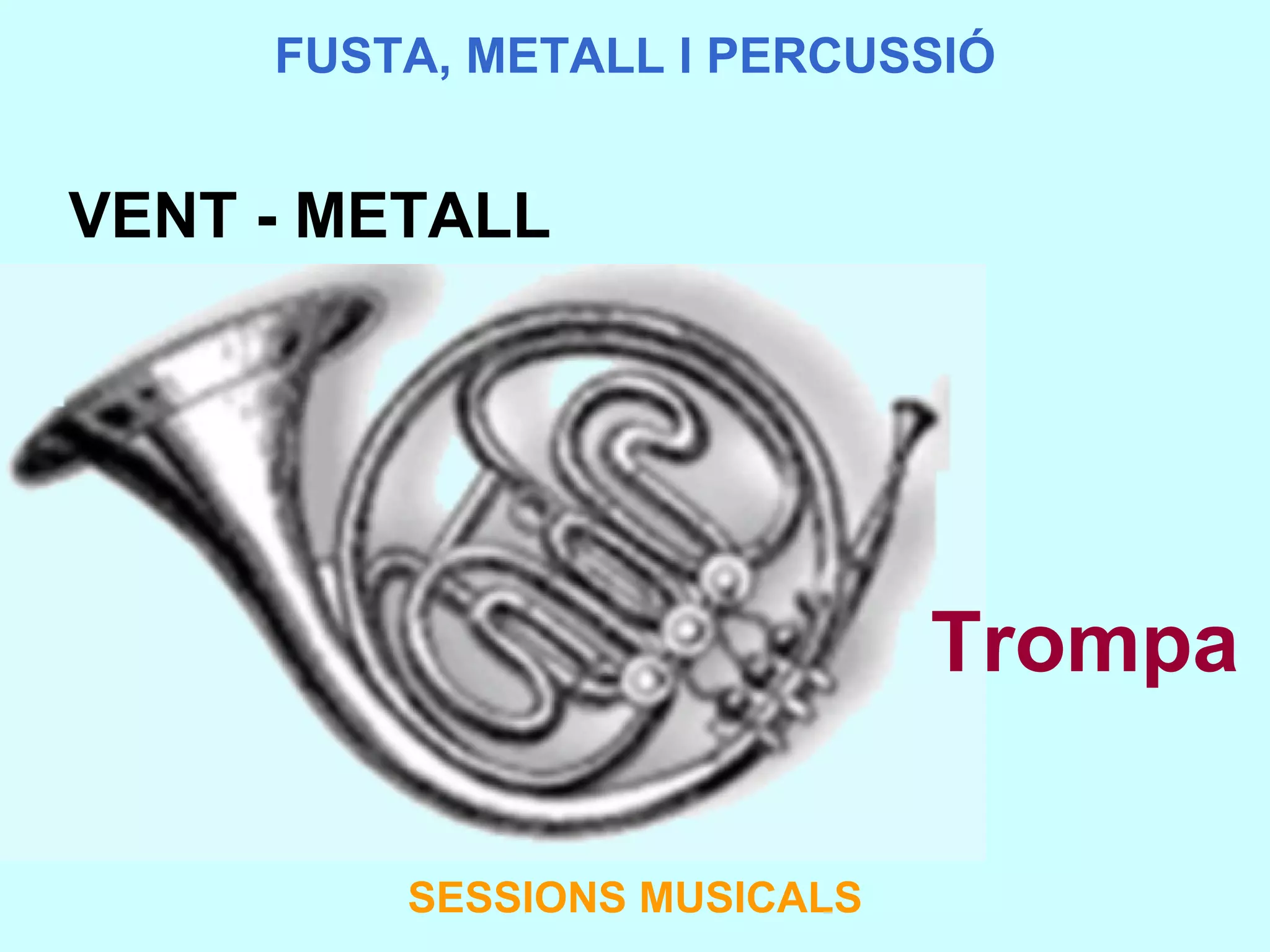 Fusta, Metall i Percussió - Frederic Sesé | PPT