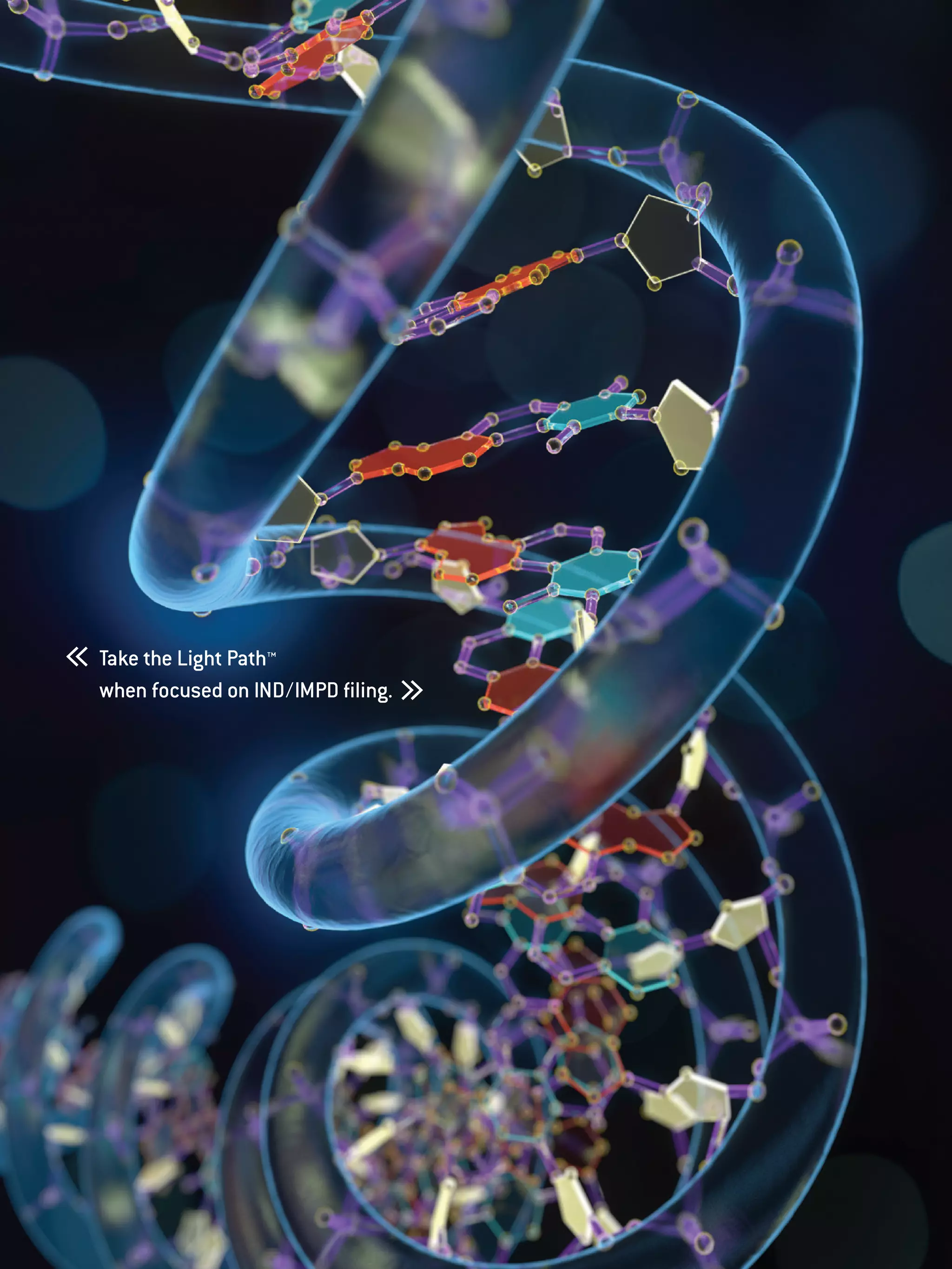 Lonza_Brochures_Light_Path_Custom_Material_Supply | PDF