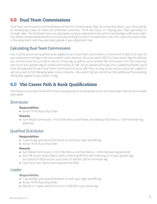 VISI Compensation Plan_REVISE_6.12 | Business | Business and Finance