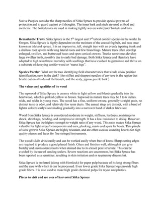 Sitka Spruce | PDF