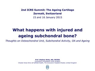 Bobic - SubChondral Activity - Zermatt 150115 | PPT