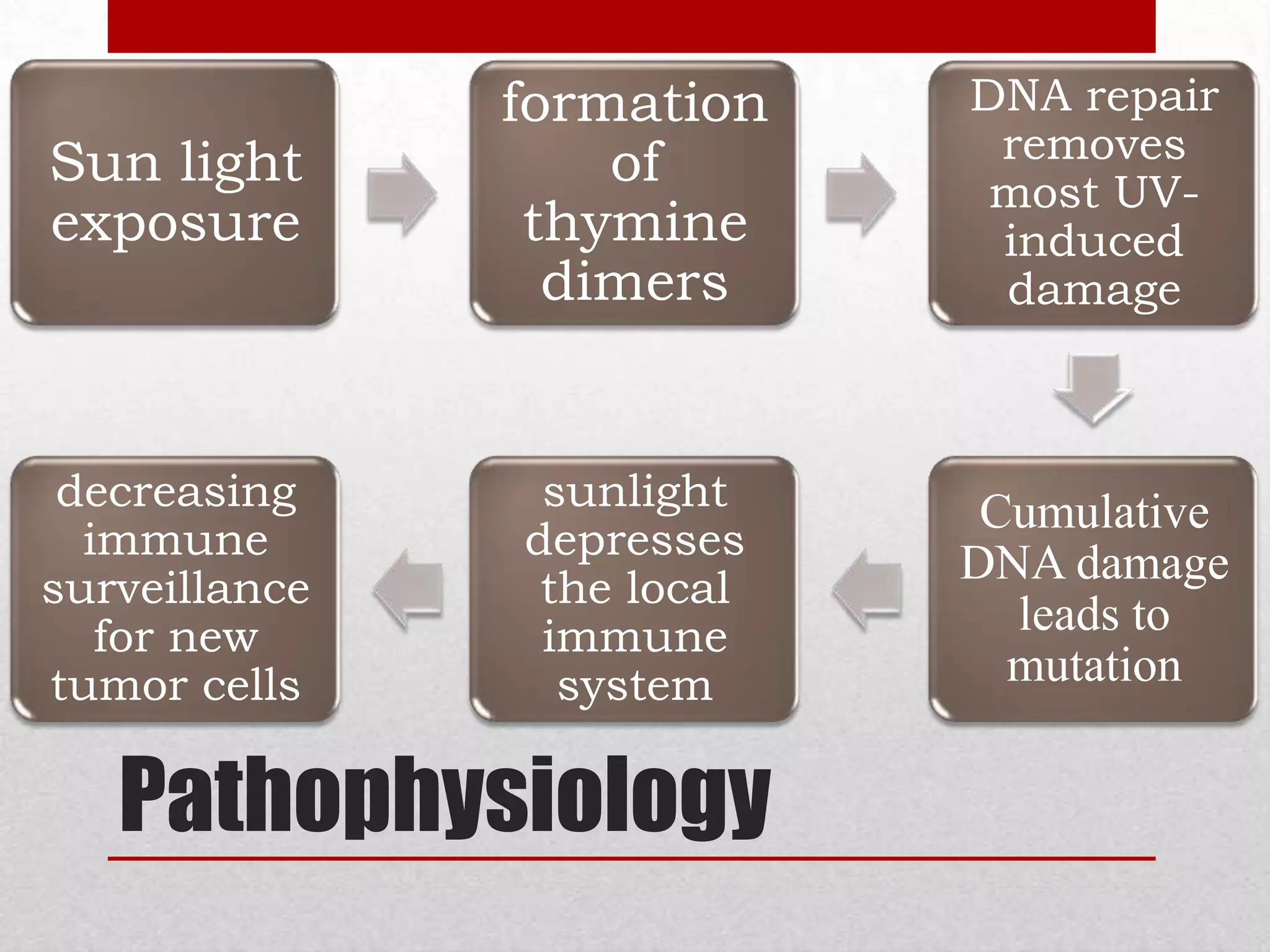 Pathophysiology of skin cancer | PPTX