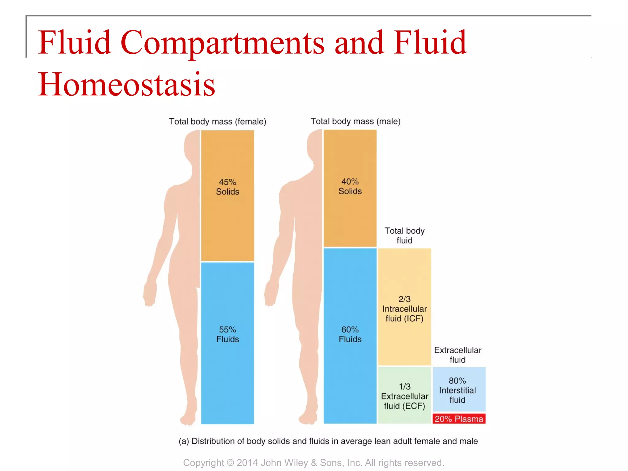 27 [chapter 27 fluid, electrolyte and acid base homeostasis] | PPT