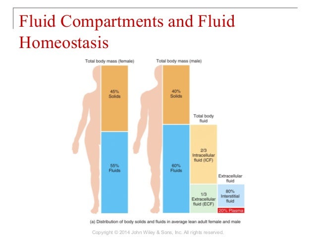 27 [chapter 27 fluid, electrolyte and acid base homeostasis]