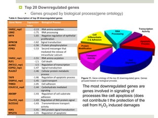 Research Poster | PPTX