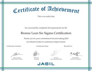 Bronze Lean Six Sigma Certification | PPT