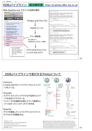 [DDBJing27] DDBJ Pipeline の紹介と実習 | PDF