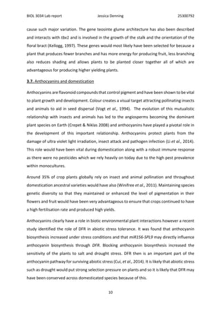 Dissertation Jessica Denning 25300792 | PDF