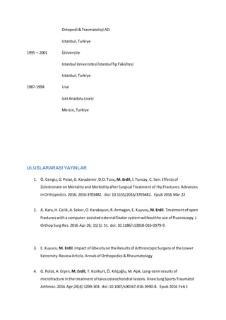 Mehmet Erdil CV Türkçe | DOCX