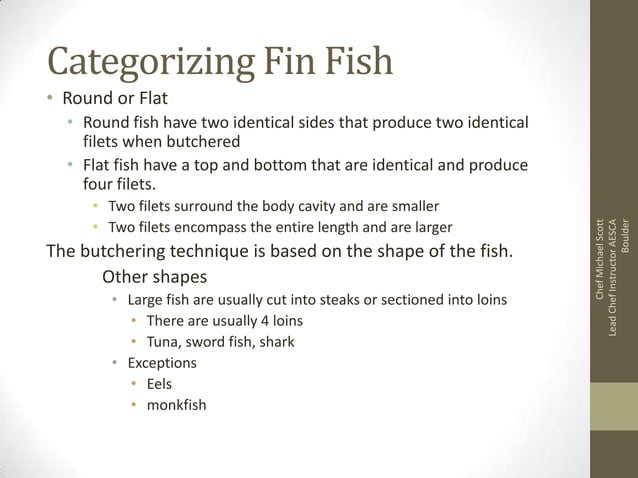 27 fin fish | PPT