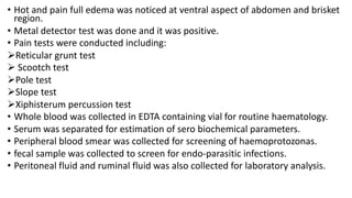 27 june 2020 , bovine clinical case | PDF
