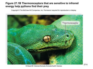 27 Lecture Ppt | PPT