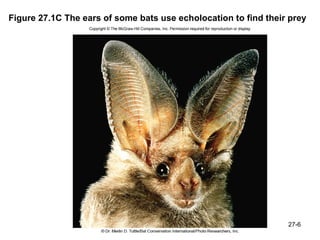 27 Lecture Ppt | PPT