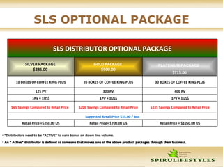 Business Overview | PPT