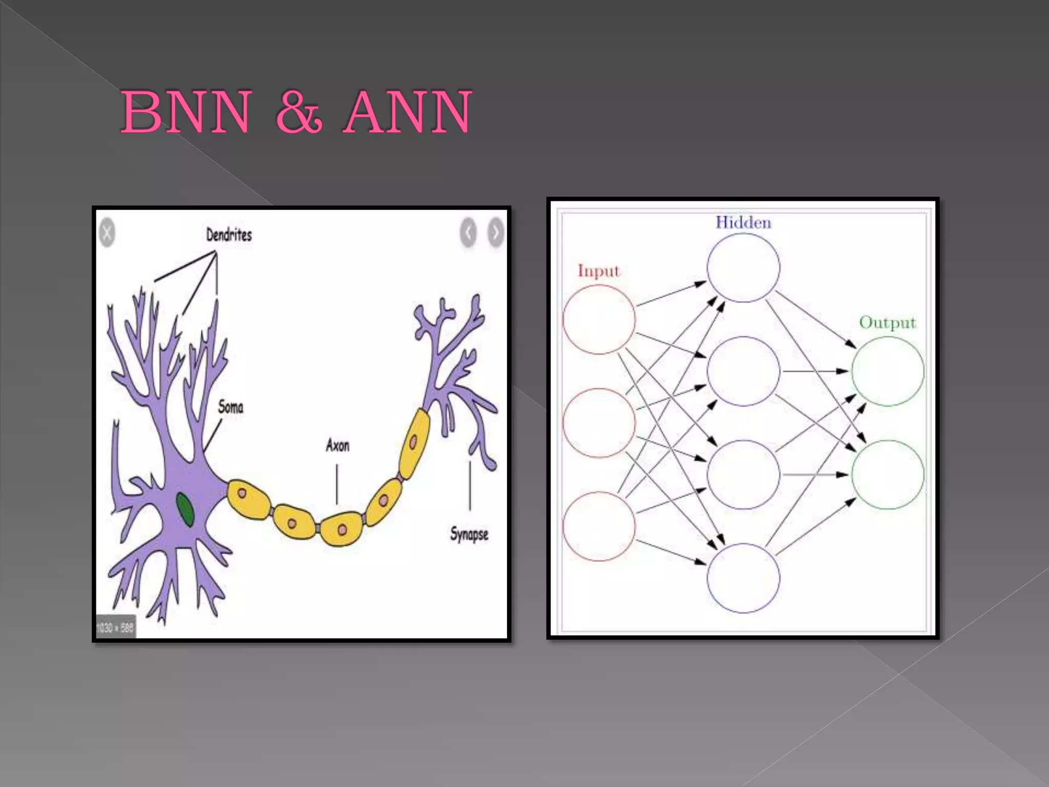 Mc Culloch Pitts Neuron | PPTX | Artificial Intelligence | Technology & Computing