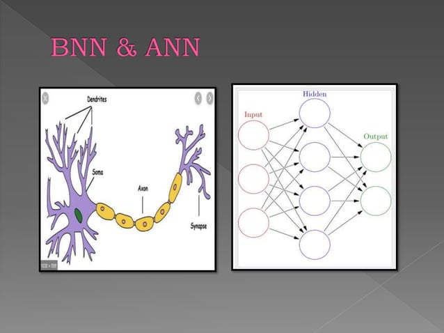 Mc Culloch Pitts Neuron | PPTX | Artificial Intelligence | Technology & Computing