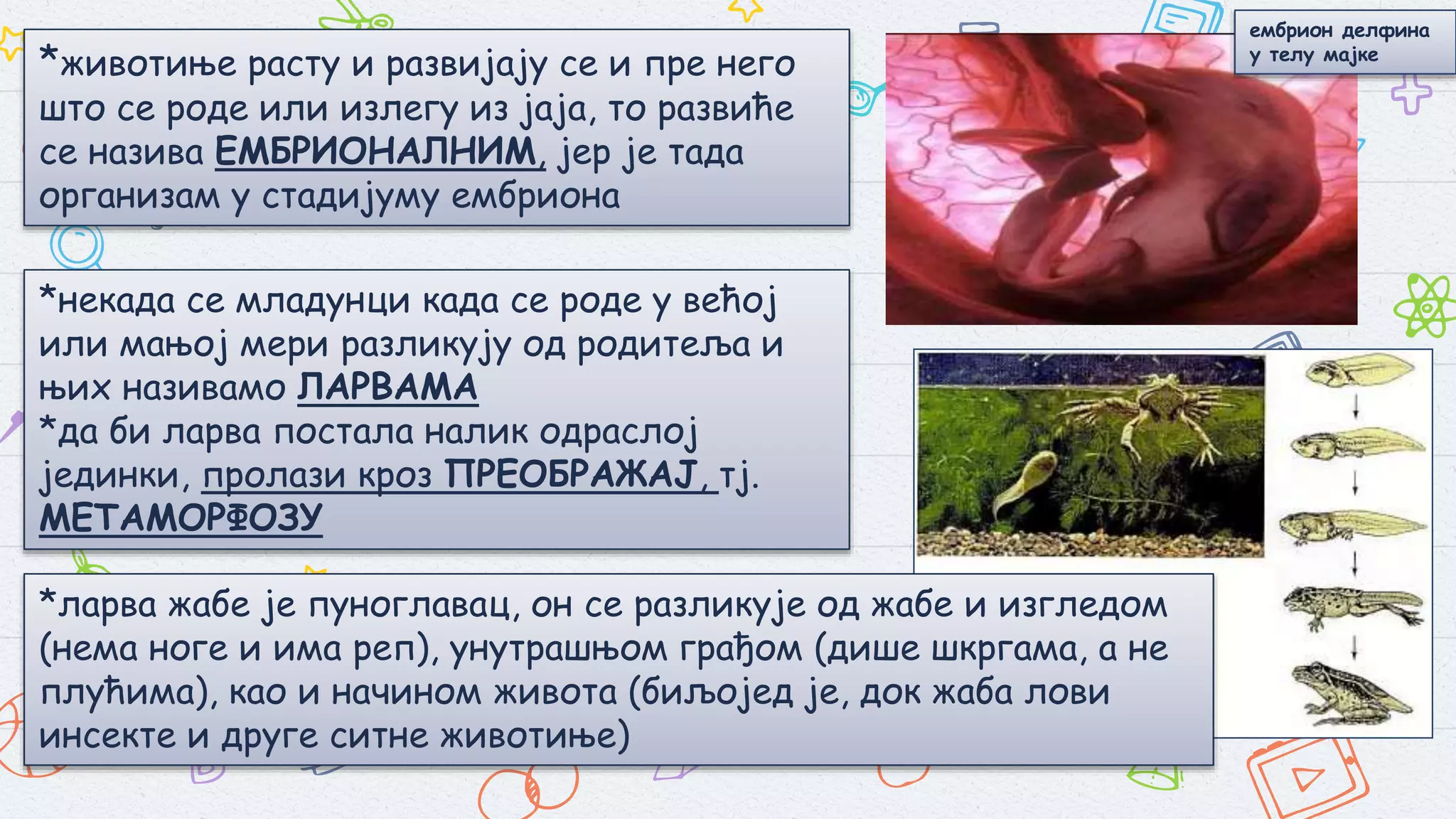 27 rast i razvoj | PPTX