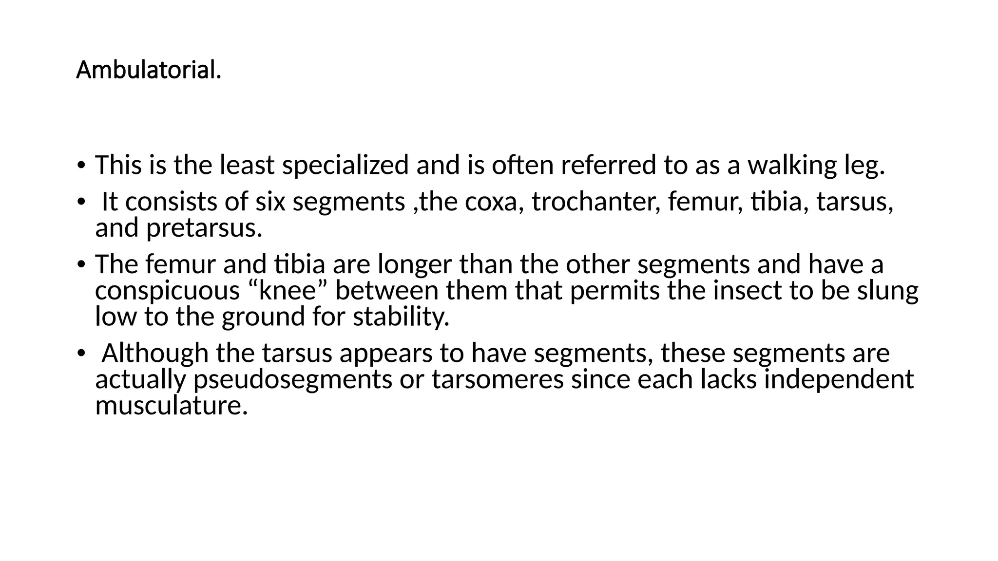 Different Types of Leg Structures in Insects | PPTX