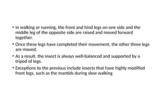Different Types of Leg Structures in Insects | PPTX | Sports
